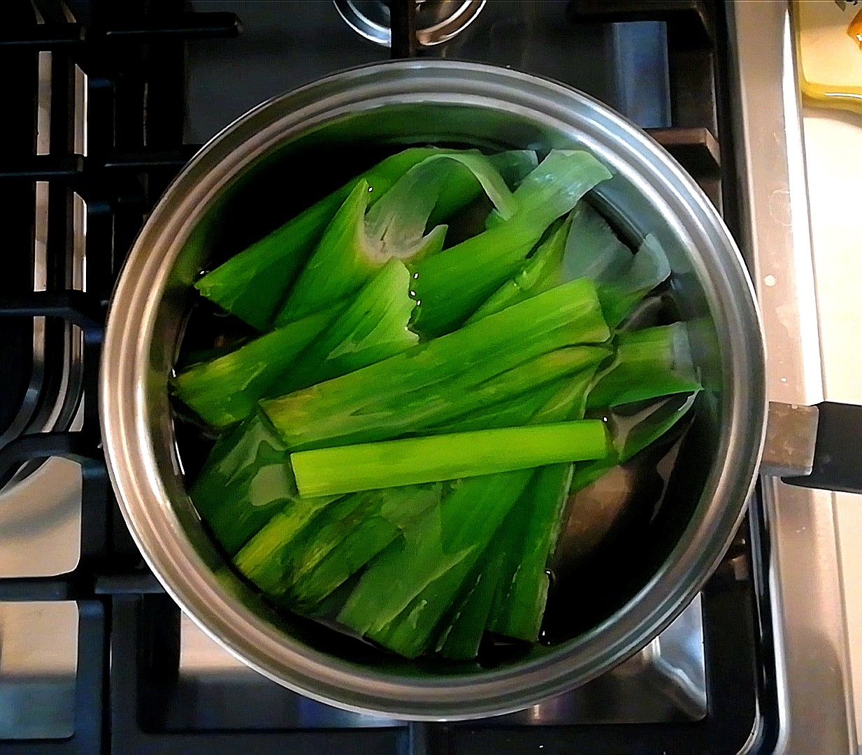 Green Leek Salt Dust - Sustainable Bartender